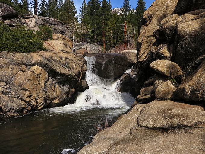 Mountain wilderness surrounds these concrete pools where park rangers ensure your soaking stays pristine.