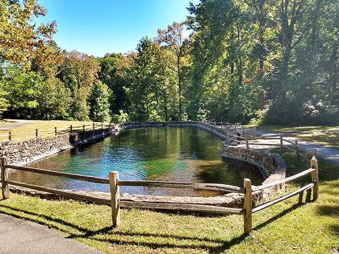 Jones Gap State Park: This crystal-clear mountain pool looks cold enough to make you gasp but inviting enough to make you jump anyway.