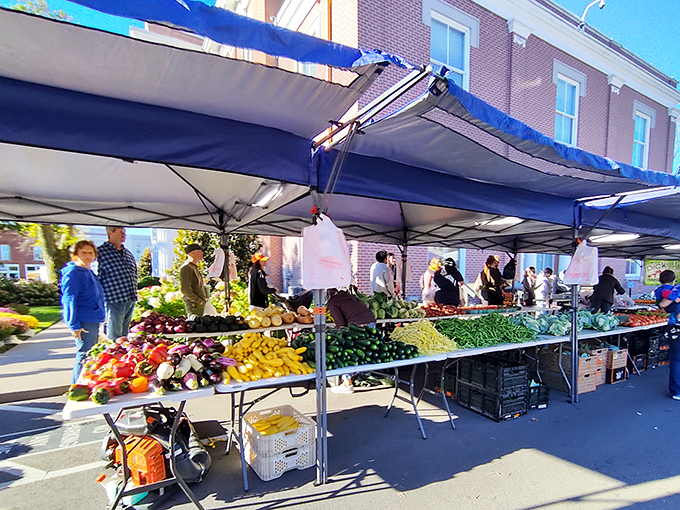 Fresh produce bursts with color at Murfreesboro Market - nature's rainbow arranged in neat rows, just waiting to become dinner.