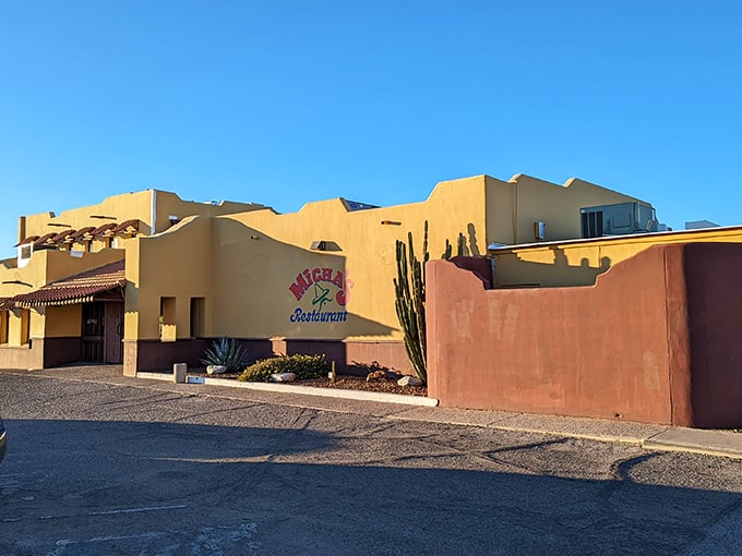 Desert plants and adobe walls frame Micha's entrance - the quintessential Tucson welcome before chimichanga bliss.