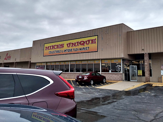 The yellow lettering practically shouts "adventure," and honestly, who among us can resist that kind of invitation?