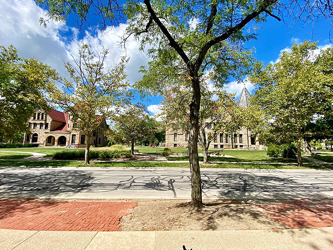 These tree-lined academic streets whisper of autumn afternoons spent contemplating life's bigger questions over good coffee.