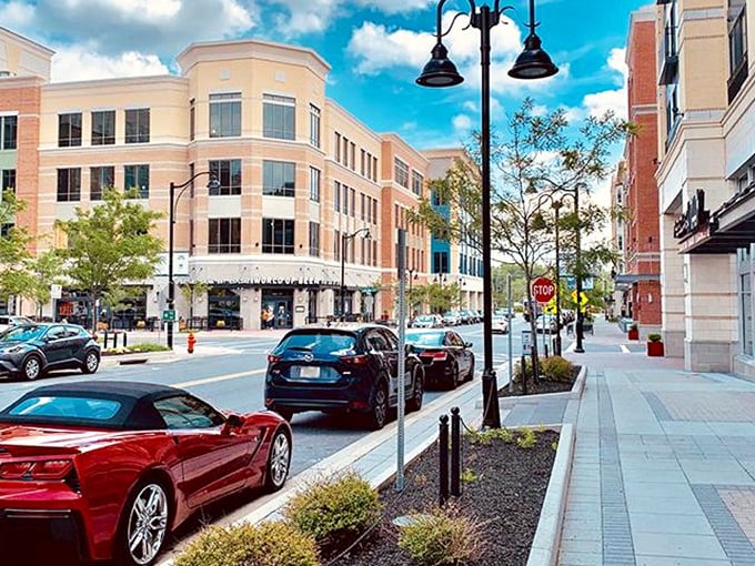 Modern buildings and tree-lined streets make Owings Mills a peaceful retreat. Suburban living that your Social Security check can actually cover.