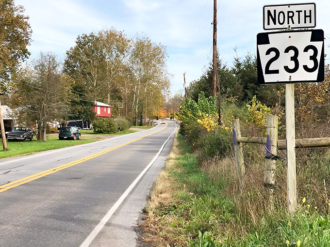 Fall colors frame Route 233 like nature's art gallery. This is the kind of road that makes you forget you have a destination.