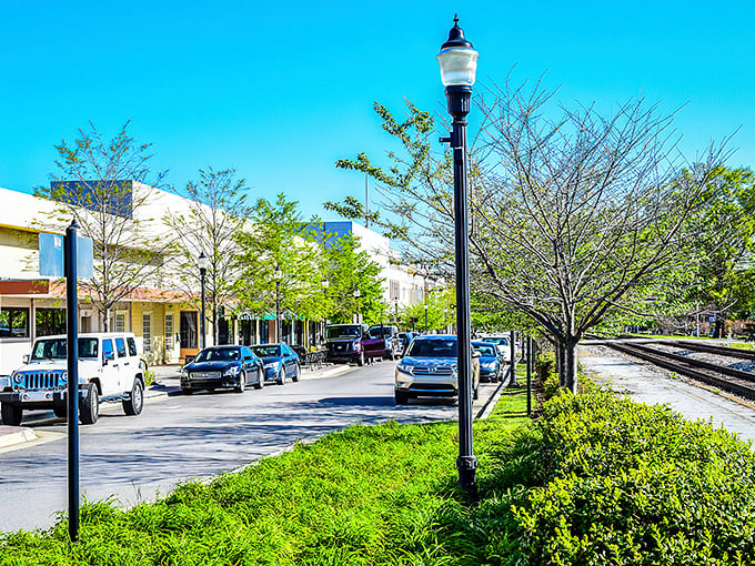 Sunshine bathes Rocky Mount's tree-lined streets, where retirement dollars find extra mileage in this affordable community.