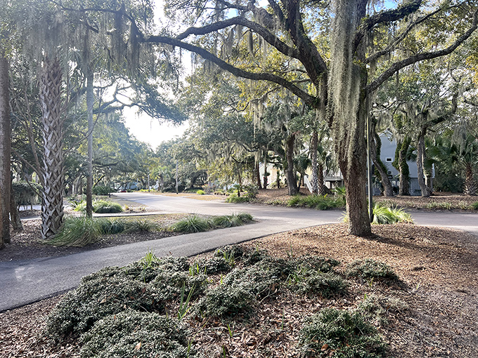 Island living begins where Spanish moss meets palmetto trees in this perfectly Southern coastal scene.