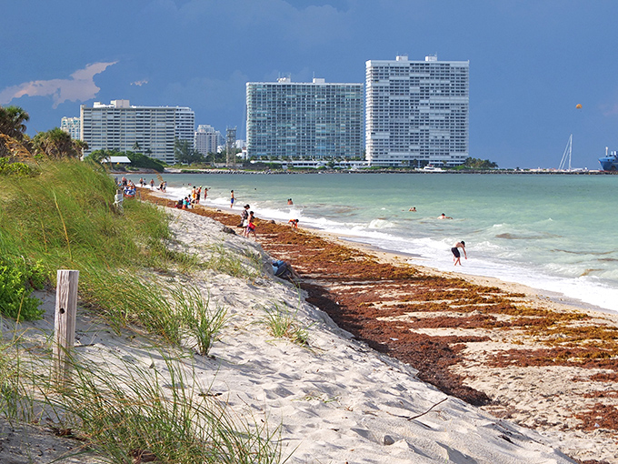 With sandy shores and stunning views, Sebastian offers the perfect mix of seaside serenity and small-town charm&mdash;Florida relaxation at its best!
