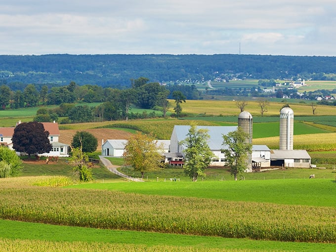 Quintessential Amish country vista. This working farm with twin silos has probably looked the same for generations.