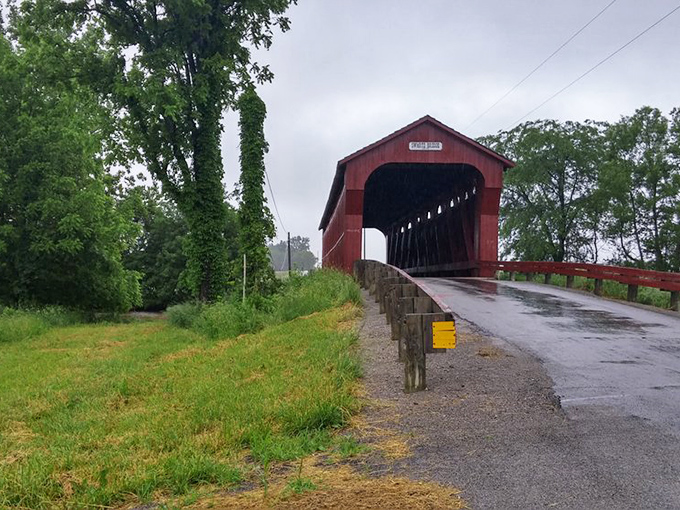Rain on a tin roof has nothing on the sound of tires crossing these wooden planks. Pure country music!