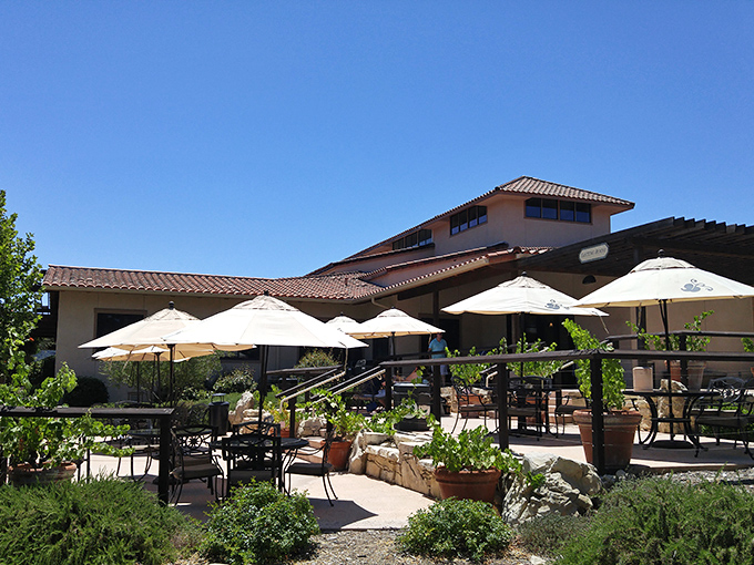 Sunshine and umbrellas await! This casual patio is where wine education happens without anyone realizing they're learning.