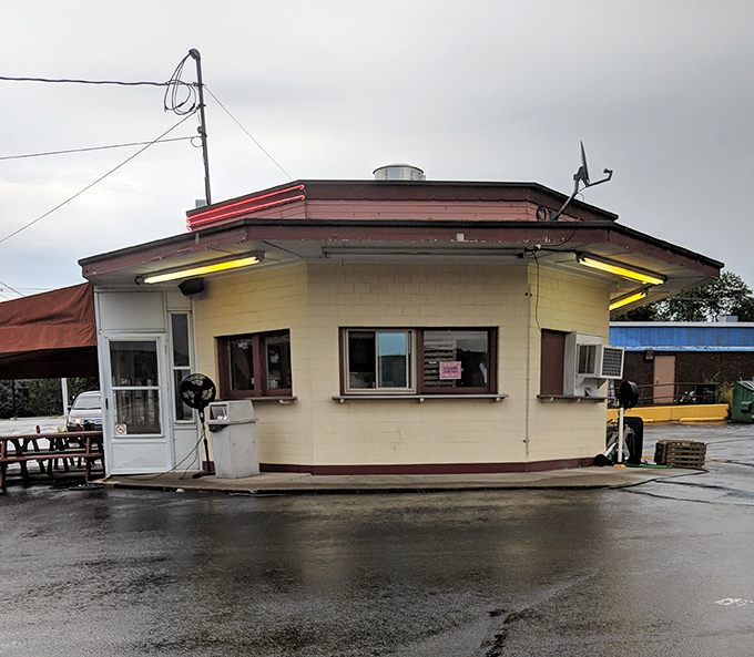 This tiny octagonal wonder proves the best flavors often come in small packages. Size isn't everything in the food world!