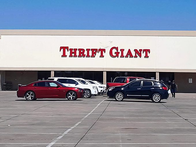 Cars gather like bargain-hunting pilgrims at the temple of thrift, where everyday miracles of discovery await inside.