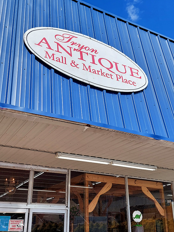 Tryon Antique Mall: Carefully arranged displays showcase the kind of quality finds that make antique hunting feel like discovering buried treasure.