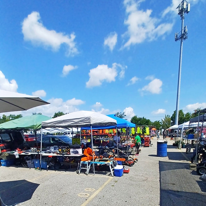 The great outdoors becomes a shopper's paradise under clear blue skies. One person's clutter becomes another's collection!