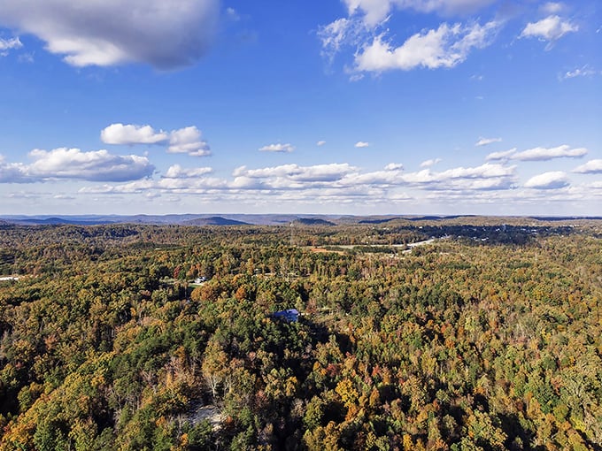 Autumn paints the Cumberland Plateau with nature's most extravagant palette. From up here, you can almost see tomorrow coming.