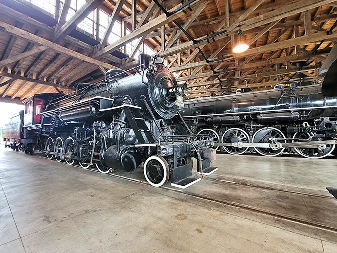 These magnificent steam locomotives aren't just museum pieces &ndash; they're time machines that transport visitors back to an era when travel was an event, not just transportation. 