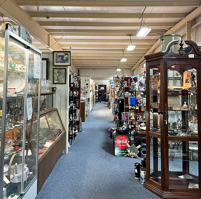 Down the rabbit hole of collectibles you go, where display cases hold miniature museums of American life.