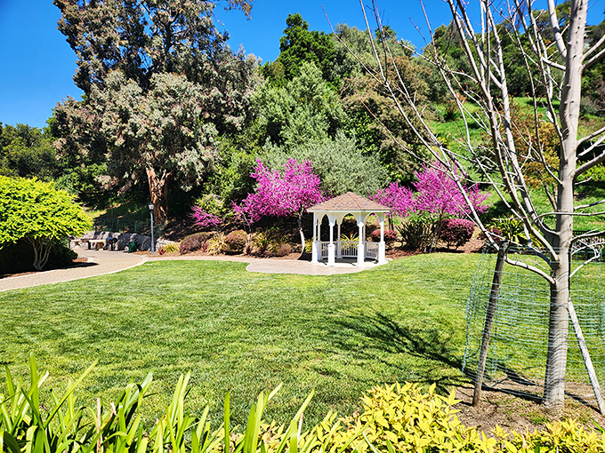 Alexander Park's gazebo offers a slice of Norman Rockwell serenity that makes you want to cancel your therapy appointment and just sit awhile.