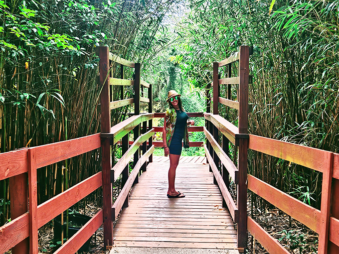 Bamboo forest meets wooden walkway in this tranquil passage. A moment of calm before the underwater adventure begins.