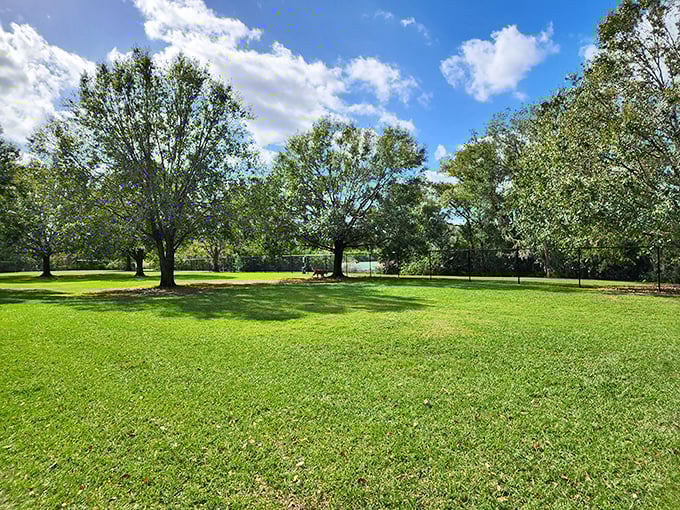 Wide open spaces and mature shade trees create the perfect setting for afternoon strolls or morning meditation &ndash; nature's therapy session, Bartow-style.