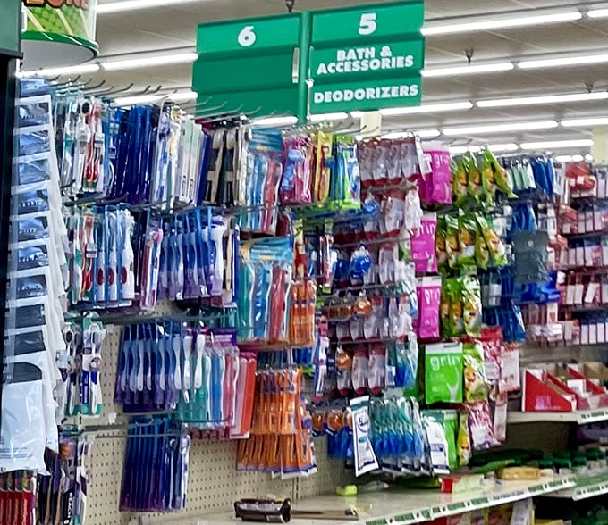 Toothbrushes in every color of the rainbow&mdash;because adulting means buying your own dental supplies, but nobody said they can't be fun.