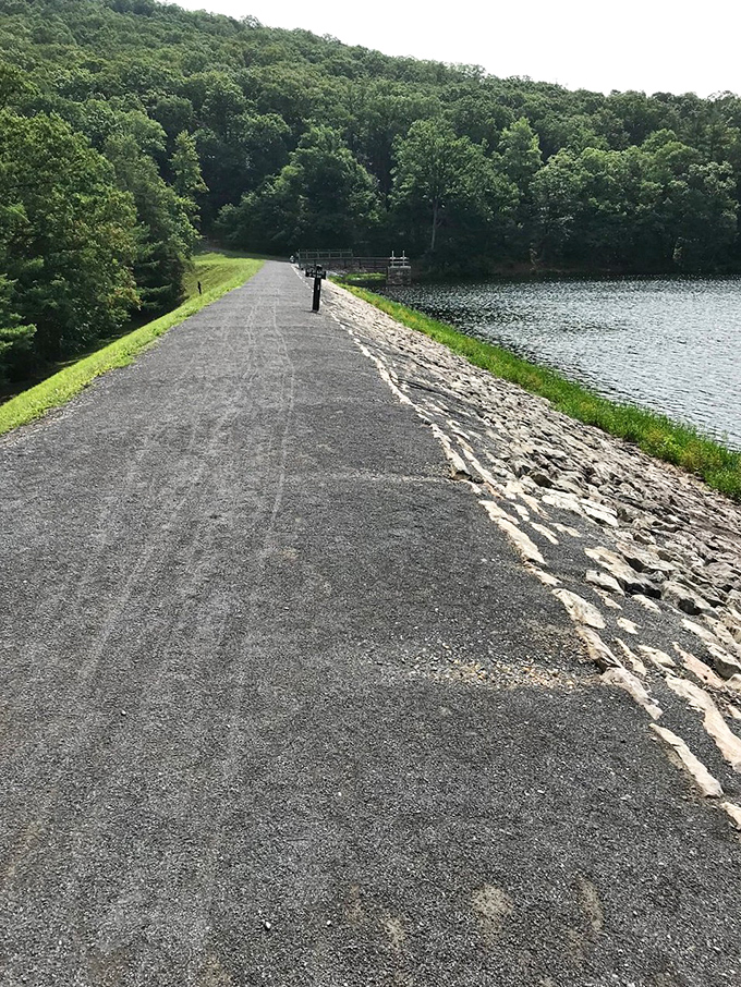 The dam trail stretches toward adventure, with water on one side and forest on the other. Choose your own Pennsylvania postcard moment.