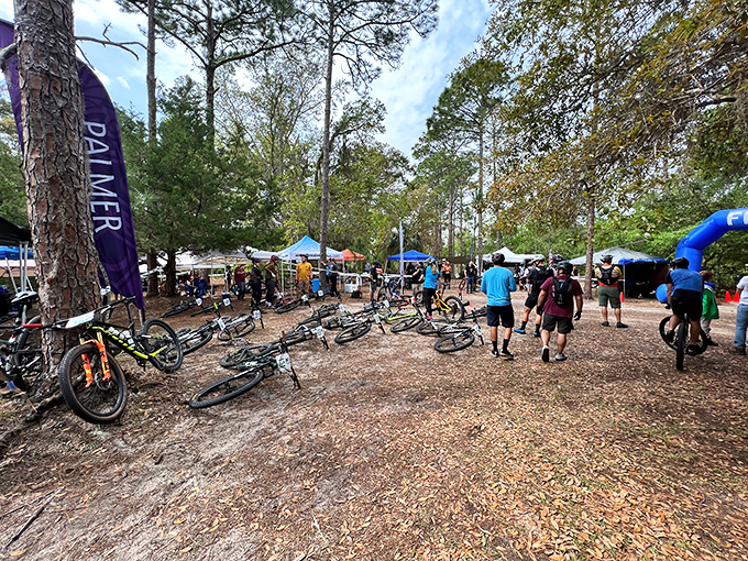 Bikes, trees, and the promise of adrenaline. Palm Coast's cycling community gathers where pavement ends and the real fun begins.