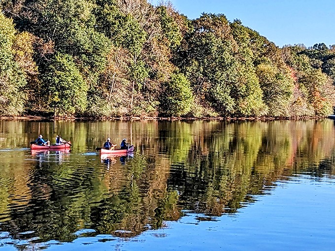 Kayakers glide across autumn's mirror, proving that sometimes the best way to experience nature is from the middle of it.