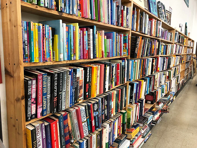 A bibliophile's dream where dog-eared paperbacks and pristine hardcovers coexist. More reading material than you could finish in ten Florida summers.