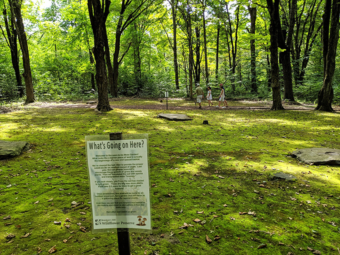 Mother Nature's art gallery showcases her finest work in this wildflower preserve's living masterpiece.