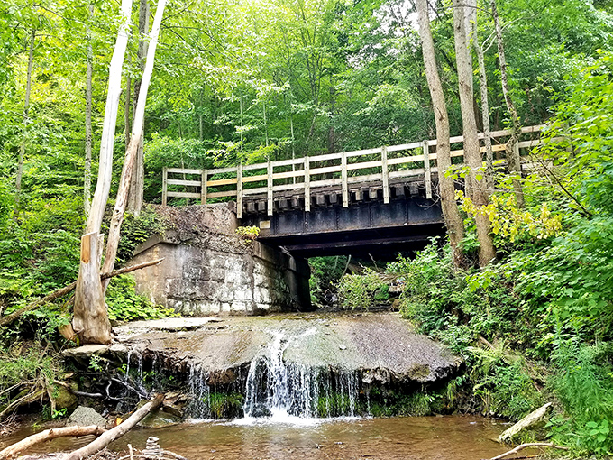 Beneath this rustic wooden bridge, a gentle cascade creates nature's soundtrack – the kind of ambient noise people pay apps to recreate at bedtime.