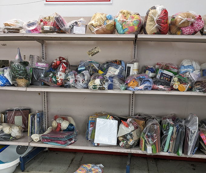 Bagged bundles of surprises waiting like wrapped presents from a universe with excellent taste.