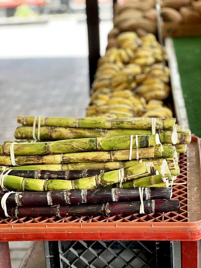 Sugarcane bundles stacked like nature's Lincoln Logs. One bite and you'll understand why people chewed these long before Wrigley's was a thing.