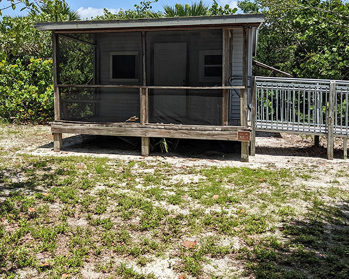Five-star accommodations for those who value location over luxury. This rustic cabin whispers tales of starry nights and salty breezes.
