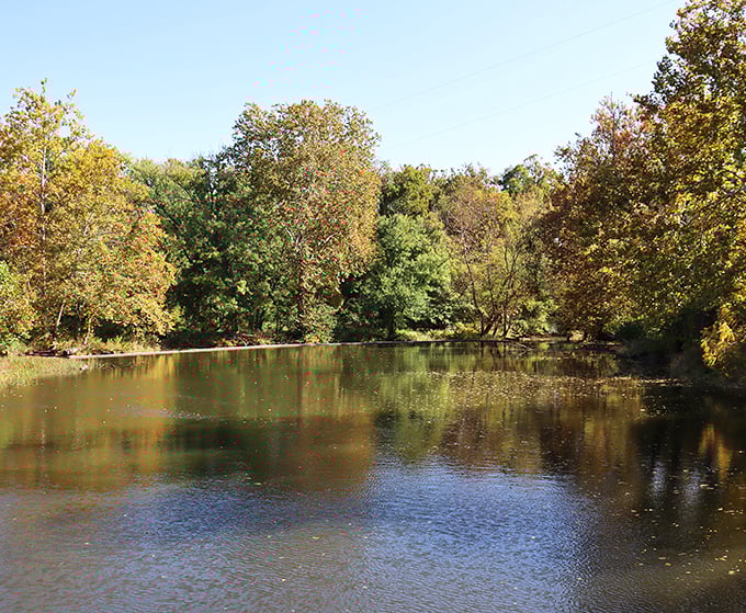 Fall transforms the water into a mirror, perfectly reflecting autumn's palette and doubling the visual impact of nature's seasonal show.