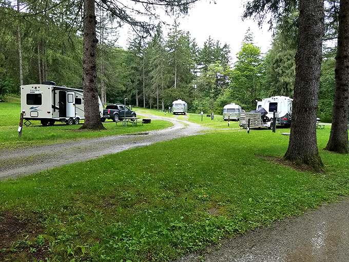 Camping with breathing room! Unlike those sardine-can campgrounds, Kooser gives each RV its own forest nook&mdash;personal space with a pine-scented bonus.