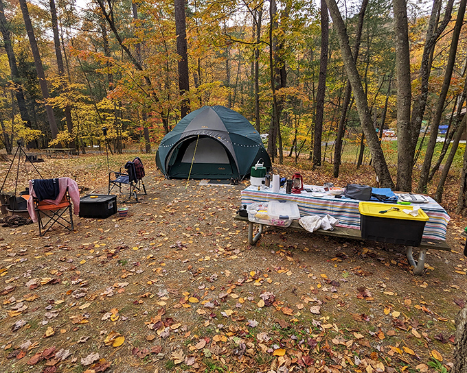 Camping as it should be. Fall leaves create nature's carpet around this cozy tent setup &ndash; no hotel turndown service required.