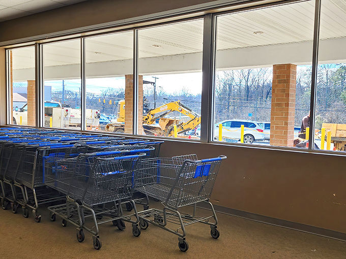 
The shopping cart armada stands ready for deployment. These blue chariots will soon be filled with unexpected discoveries and triumphant finds. 
