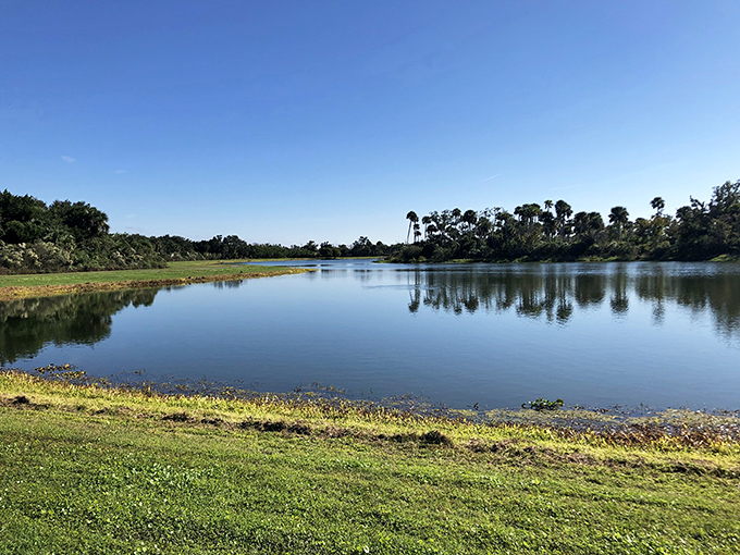 Chain of Lakes Park offers serene water views where wildlife and retirees find common ground &ndash; both appreciating the peaceful pace of Titusville living.