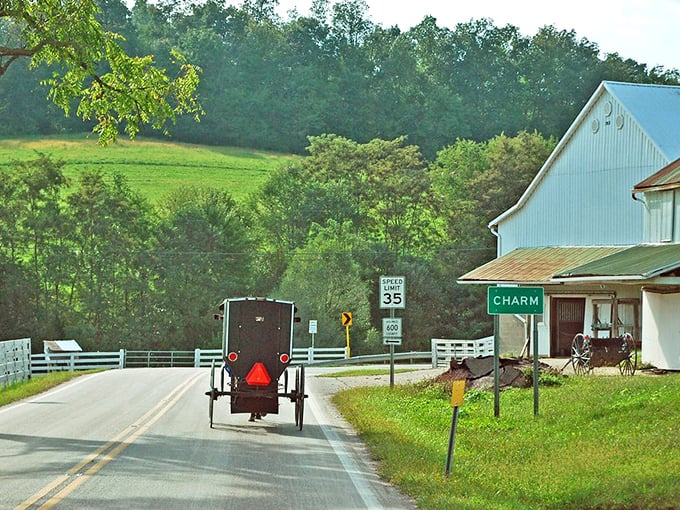 Where the road sign reads "Charm" and delivers exactly as promised. Even the speed limit seems to suggest, "Slow down, you're missing the point."
