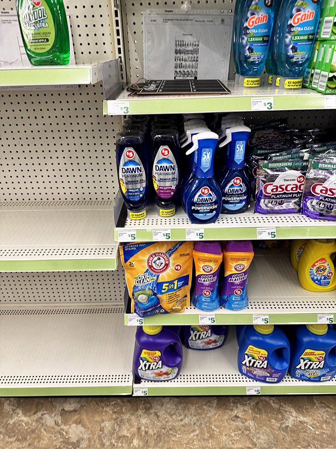 Name-brand cleaning supplies that prove Dollar Tree isn't just about knick-knacks—it's about practical solutions that don't clean out your wallet.