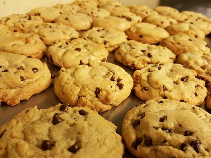 These chocolate chip cookies have that perfect golden ratio of crisp edge to chewy center. The kind that disappear from the cookie jar with suspicious speed.
