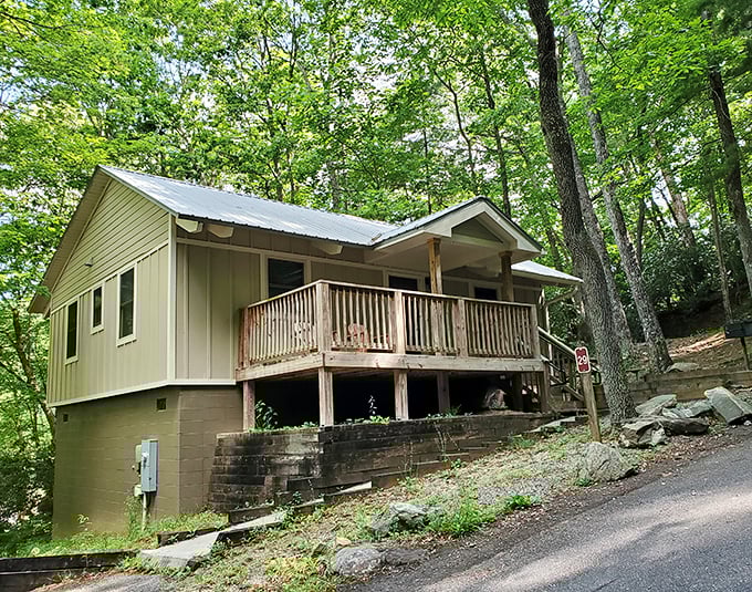 Modern comfort meets wilderness charm in cottages that make "roughing it" feel suspiciously like a boutique hotel experience.