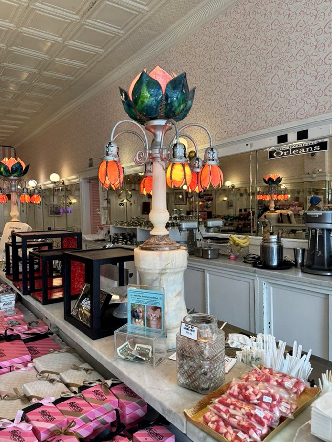 Stained glass lamps cast a warm glow over candies and treats. This counter has witnessed more happiness than most therapists.