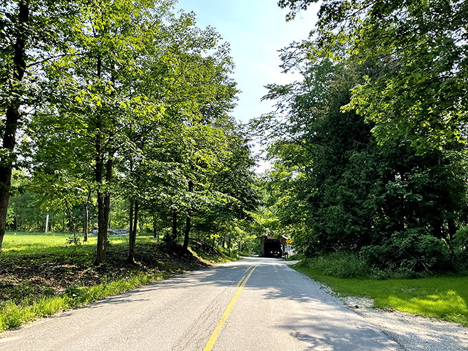 The road less traveled leads to the greatest discoveries&mdash;this tree-lined approach to Fallasburg Bridge builds anticipation for the historic treasure ahead.