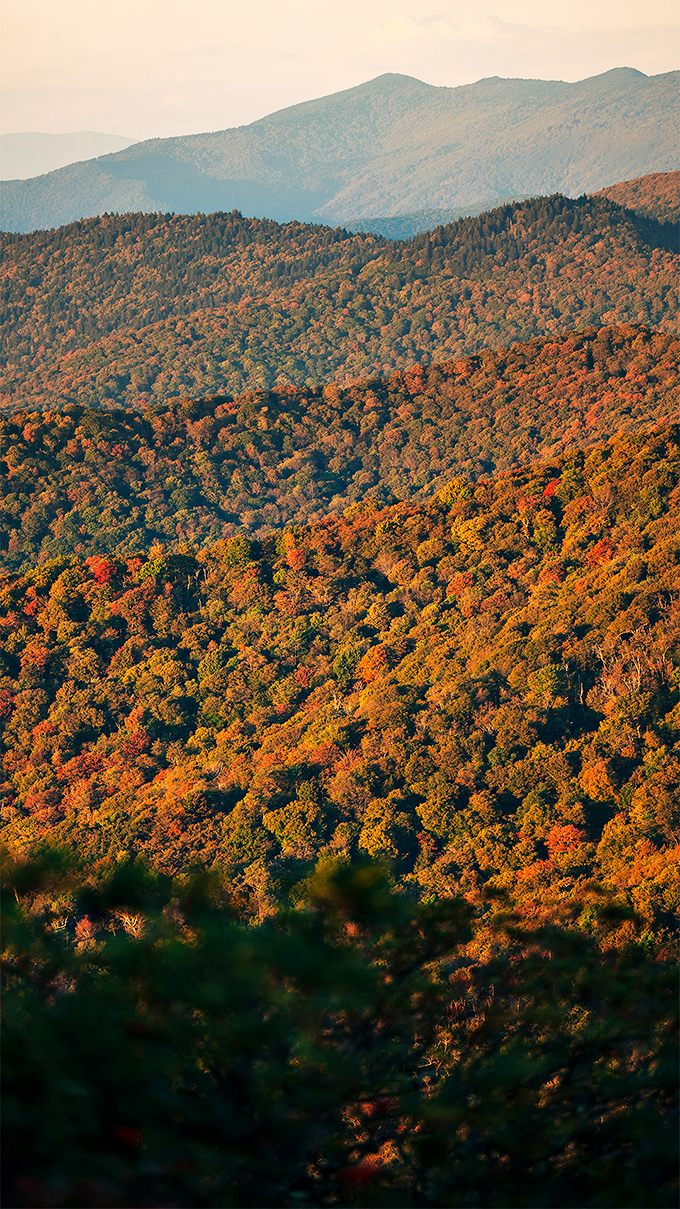 Autumn transforms the mountains into nature's patchwork quilt, with colors so vibrant they almost look Photoshopped in real life.