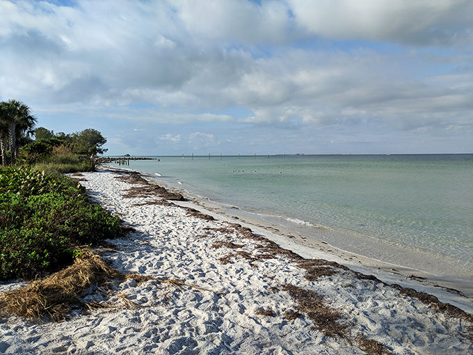 Crystal waters reveal every detail beneath the surface. If you can't spot fish here, you might want to check if your eyes are actually open.