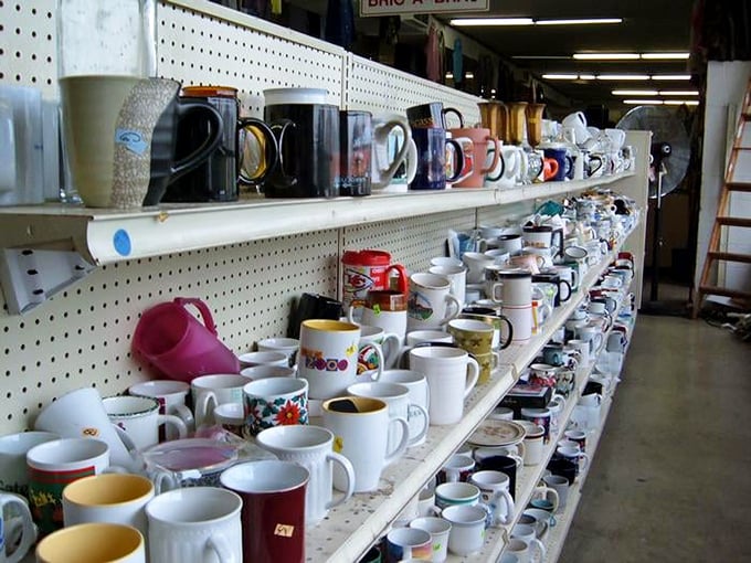 Mug collectors, beware! This display of personality-filled cups could easily turn your quick thrift trip into an hour-long decision marathon.