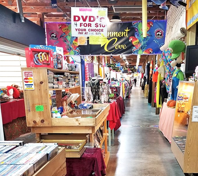 Entertainment overload! DVDs for a Hamilton each and enough tropical-themed merchandise to transform your living room into Key West.