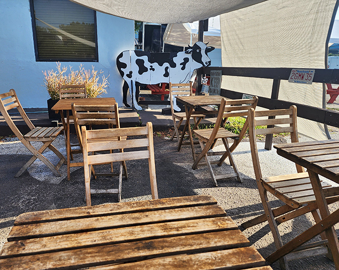 The dining area features Florida's most honest air conditioning system - shade from a canopy, wooden chairs, and a cow watching over your breakfast decisions.